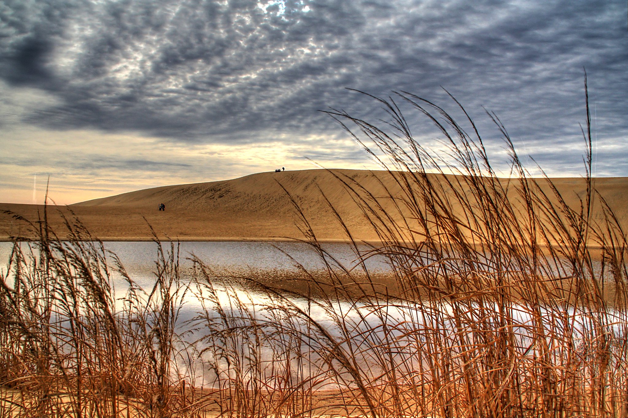 Guide To Visiting Jockey's Ridge State Park - First Flight Rentals Blog